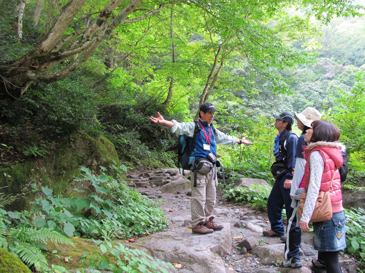 ネイチャートレッキング｜新潟の体験｜【公式】新潟県のおすすめ観光・旅行情報！にいがた観光ナビ