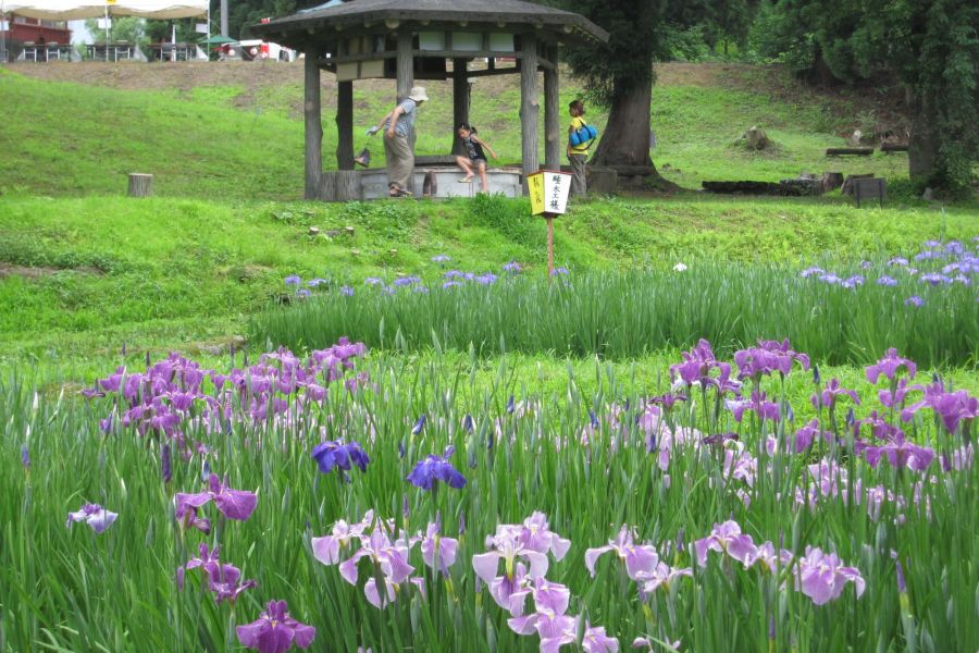 巻機山麓キャンプ場｜新潟の観光スポット｜【公式】新潟県のおすすめ観光・旅行情報！にいがた観光ナビ